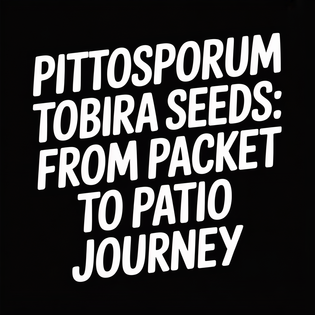 Pittosporum Tobira Seeds: Grow Your Patio Paradise – RND Power Solutions